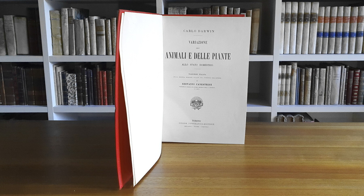 Charles Darwin - Variazione degli animali e delle piante - Torino 1876 ...